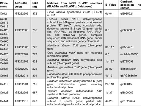Ncbi Blastn And Blastx Records With Functional Information Displaying Download Table