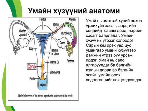 Ppt МОНГОЛЫН МЯНГАНЫ СОРИЛТЫН САН ЭРҮҮЛ МЭНДИЙН ТӨСӨЛ Powerpoint