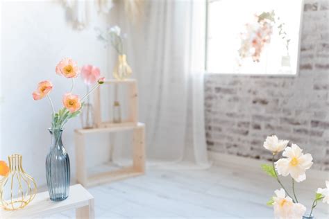 新しい世界 〜お花のフォトブース 〜 《西宮市東山台・ハンモックチェアのある秘密基地みたいな小さなフォトスタジオ》 Photo Slice