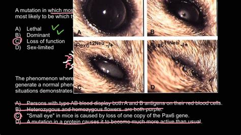 Nikolays Genetics Lessons On Linkedin Mutations Lethal Dominant
