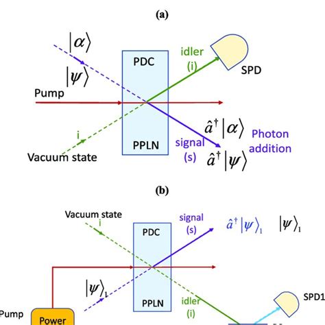 The Illustration Of A Single Photon Addition A Generation Of The Download Scientific Diagram