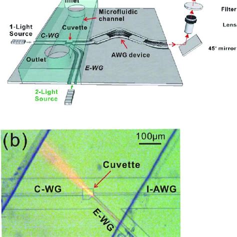 A Schematic Illustration Of Integration Of An Arrayed Waveguide Download High Quality