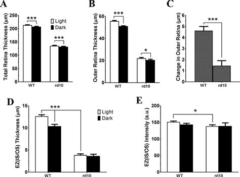 Light Induced Oct Responses In Wt And Stage I Rd10 Mice Bar Graphs Download Scientific Diagram