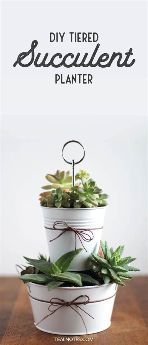 Diy Tiered Succulent Planter Succulent Planter Succulent Planter Diy