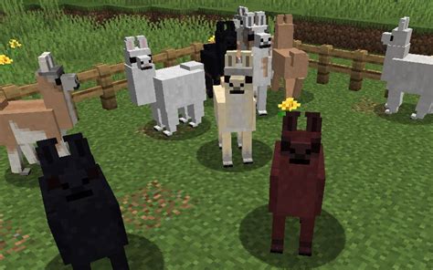 How To Ride A Llama In Minecraft The Ultimate Guide How To Game