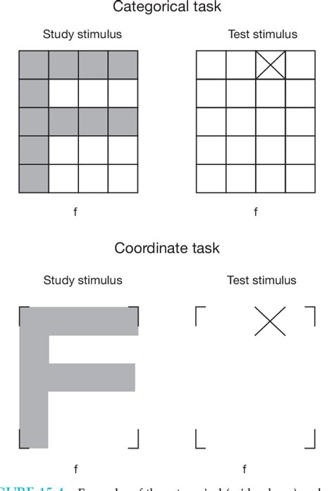 Figure 15 4 From The Development Of Visuospatial Processing Semantic Scholar