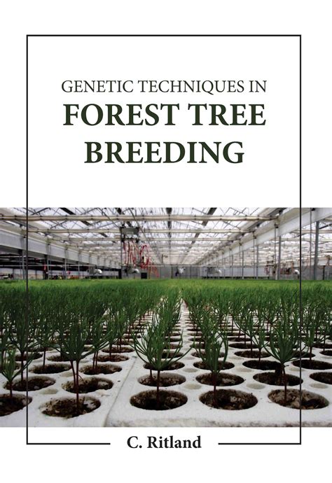 American Academic Publisher