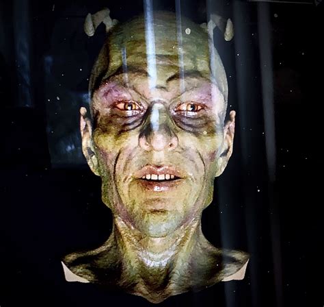 3d Model Realistic Piccolo Head Mesh Vr Ar Low Poly Cgtrader