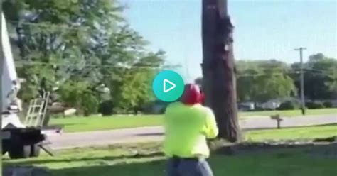 Apex Pathfinder Album On Imgur