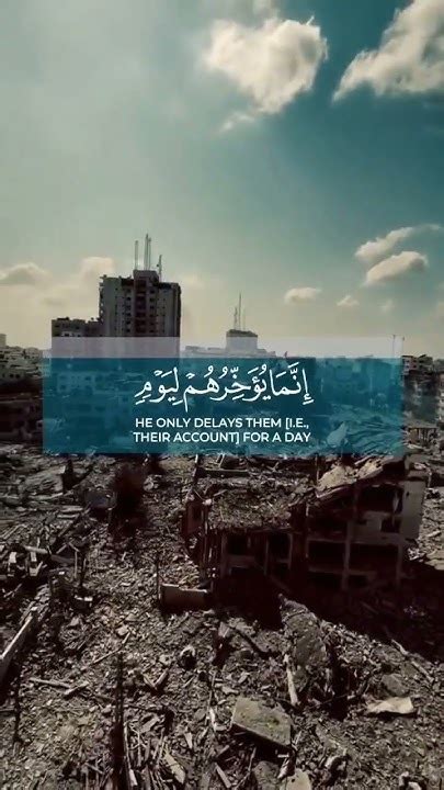 فرأن كريم Youtube