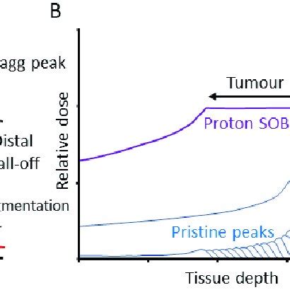 Comparison Of Tissue Penetrance Relative To Dose Of X Rays PBT And Download Scientific Diagram