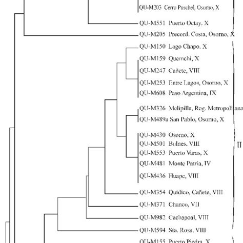 Dendrogram Based On Simple Sequences Repeat Ssr Analysis Of 39