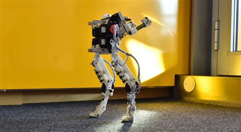 Joint Coupling And Complex Legged Locomotion Patterns Dynamic Locomotion Max Planck