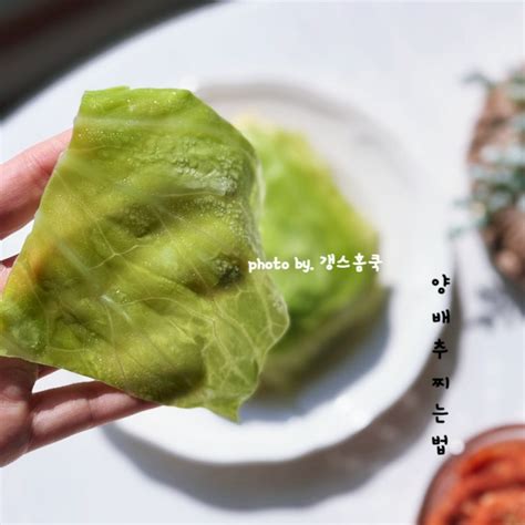 양배추 전자레인지 찌는법 시간 쉽게 양배추 삶는법 네이버 블로그