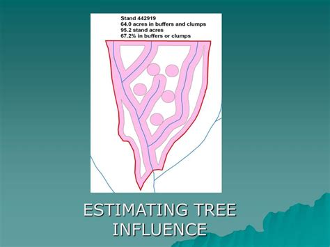 Ppt Variable Retention Harvesting On Potlatch Forests Powerpoint