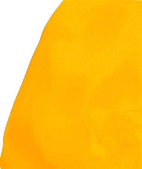 Triglyceride To Hdl Ratio Healthycell