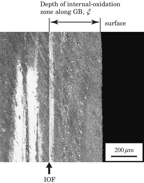 An Sem Micrograph Showing An Exposed Grain Boundary In The Cusio 2 Download Scientific Diagram