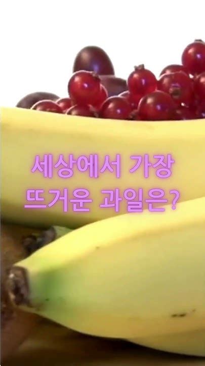 넌센스퀴즈 31 세상에서 가장 뜨거운 과일은 Youtube