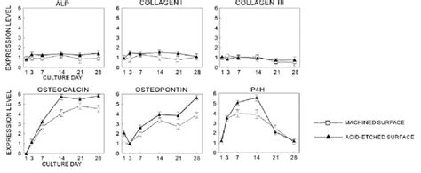 7 Expression Of Bone Ecm Related Genes As A Measure Of Bone