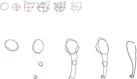 How I Draw A Cat By RuraSenpai On DeviantArt