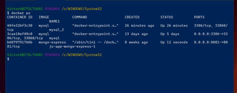 Docker Run Command Explained With Examples Reportwire
