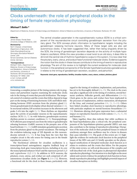 Pdf Clocks Underneath The Role Of Peripheral Clocks In The Timing Of Female Reproductive
