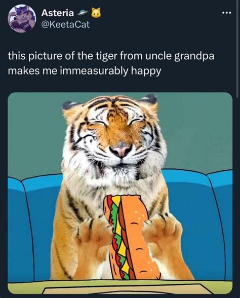 Funny Tiger Meme