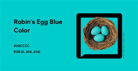 Robins Egg Blue Color Hex Code Is 00cccc