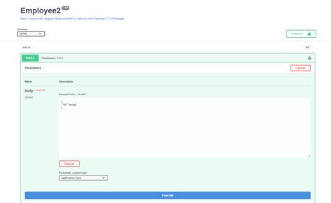 API Management Informatica US
