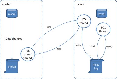 通过 Docker Compose 快速部署 Mysql保姆级教程docker Compose Mysql Csdn博客