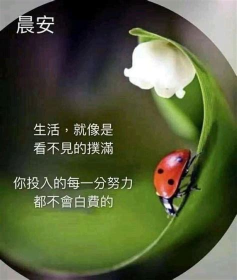 植物花卉에 있는 Smile89098님의 핀 자연 사진 사진