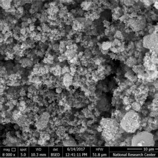 SEM Photograph Of SiO2 Nanoparticles Download Scientific Diagram