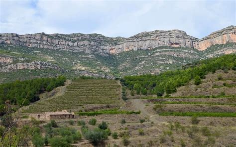 Discover Catalonias Incredible Priorat Wine Region And Priorat Wines