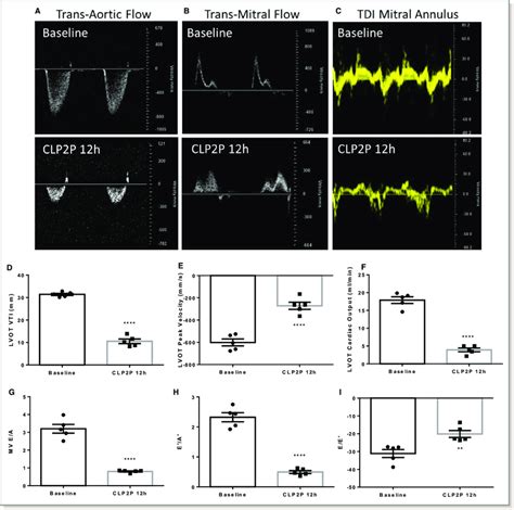 Pulsed Wave Doppler And Tissue Doppler Derived Measurements Of Systolic Download Scientific