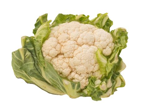 콜리 플라워 8k 울트라 Hd 3d 모델 49 Unknown Max Free3d