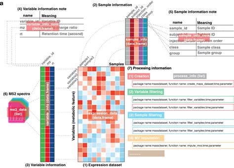 Massdataset Package Tidymass