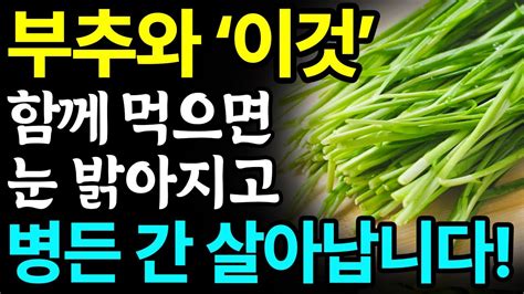 부추와 함께 먹으면 보약되는 음식 3가지와 레시피 총정리 값비싼 영양제 대신 이것 드세요 I 눈에 좋은 음식 혈관에 좋은
