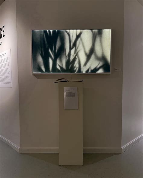 Transience New Work By Amy Sands Curated By Dr Megan Arney Johnston