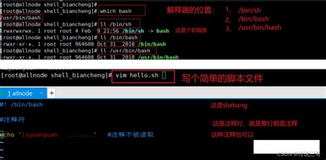 Linux学习笔记(二十一)之shell编程 Csdn博客 Linux学习笔记(二十一)之shell编程 Csdn博客