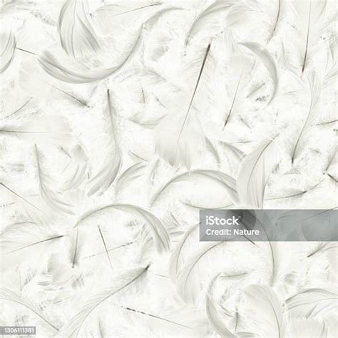 깃털 컨셉 파스텔 천사 깃털은 흰색 배경에 떨어지는 매끄러운 패턴 텍스처에 자연의 우아한 표현 예술 이미지 취약성 가벼운에 대한 스톡 사진 및 기타 이미지 Istock
