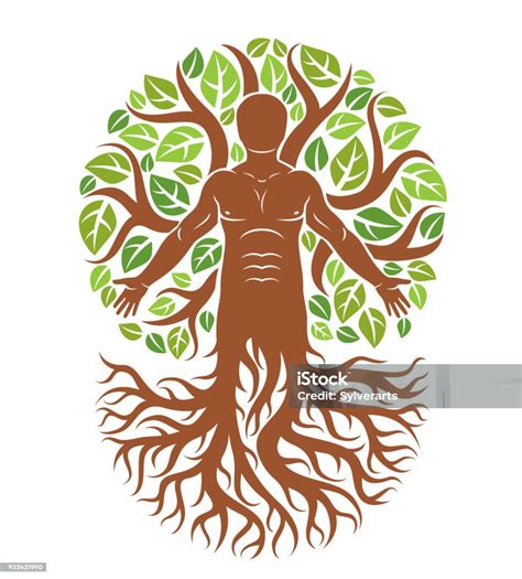 흰색 바탕에 서 있고 나무 뿌리와 녹색 잎을 사용 하 여 만든 강한 남성 바디 실루엣의 벡터 그래픽 그림 생명의 나무는은 유 가족의 뿌리 0명에 대한 스톡 벡터 아트 및