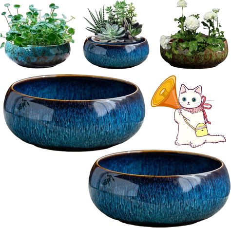 Lotus Bowl Planter Ceramic Lotus Flower Bowl Lotus Bowls For Planting
