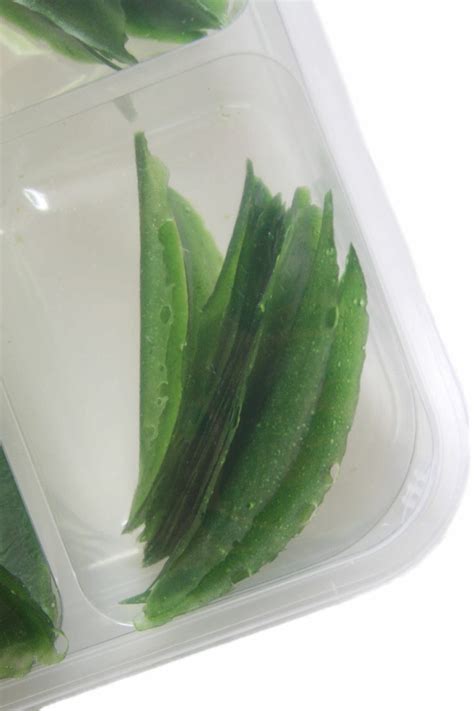 Kroepoek Wasabi Online Kaufen Kroepoek Wasabi Online Kaufen