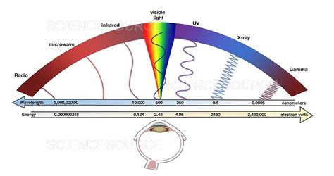 Electromagnetic Spectrum Stock Image Science Source Images