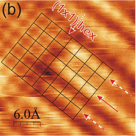 A Stm Image Showing Various Borders Between The Hex And The 1 × 1 Download Scientific