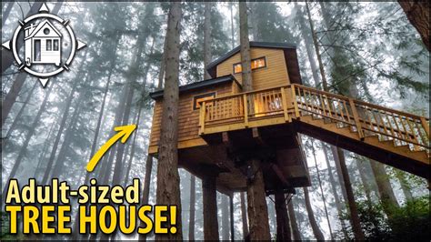Adult Tree Houses For Rent