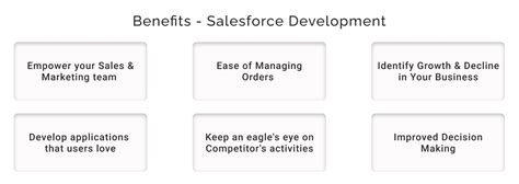 Everything About Salesforce Development Lifecycle