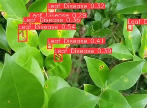 my internship on object detection with yolov8 yuva sai teja vanam