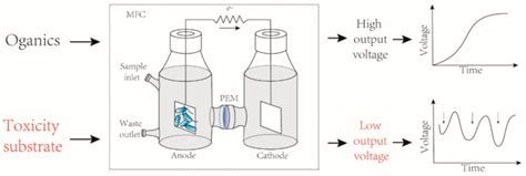 Microbial Fuels Cell Based Biosensor For Toxicity Detection A Review Abstract Europe Pmc