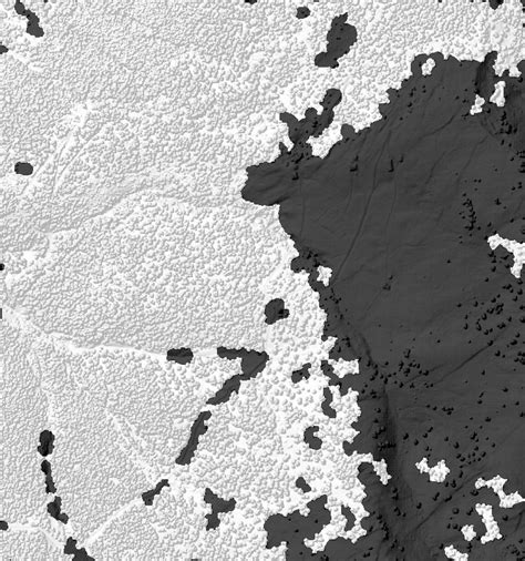 Opals Orientation And Processing Of Airborne Laser Scanning Data